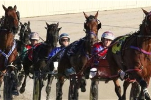 Home [www.melton.vic.gov.au]